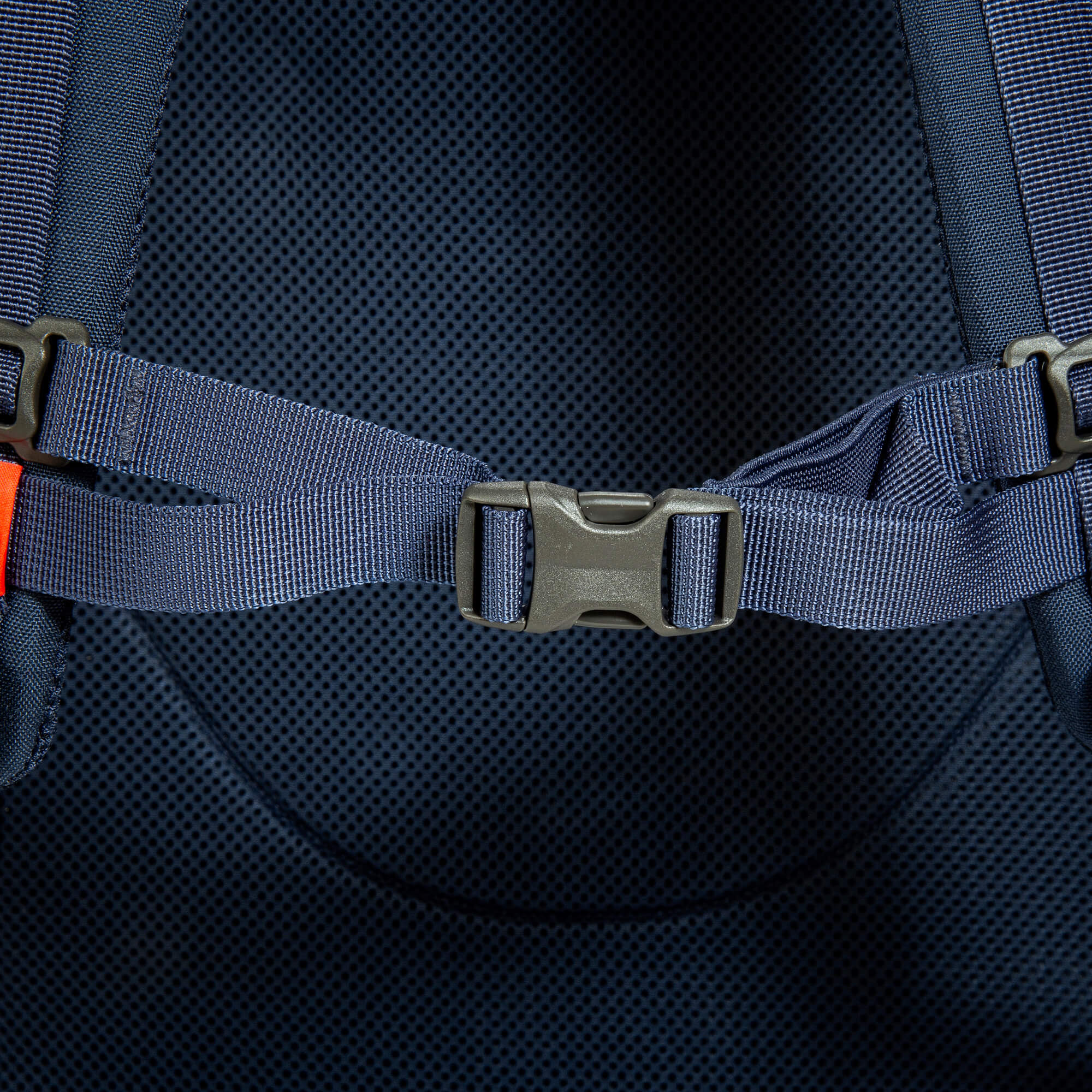Men's Daypacks - Grip Rolltop Pack 34 - Tatonka | Backpacks, Tents ...